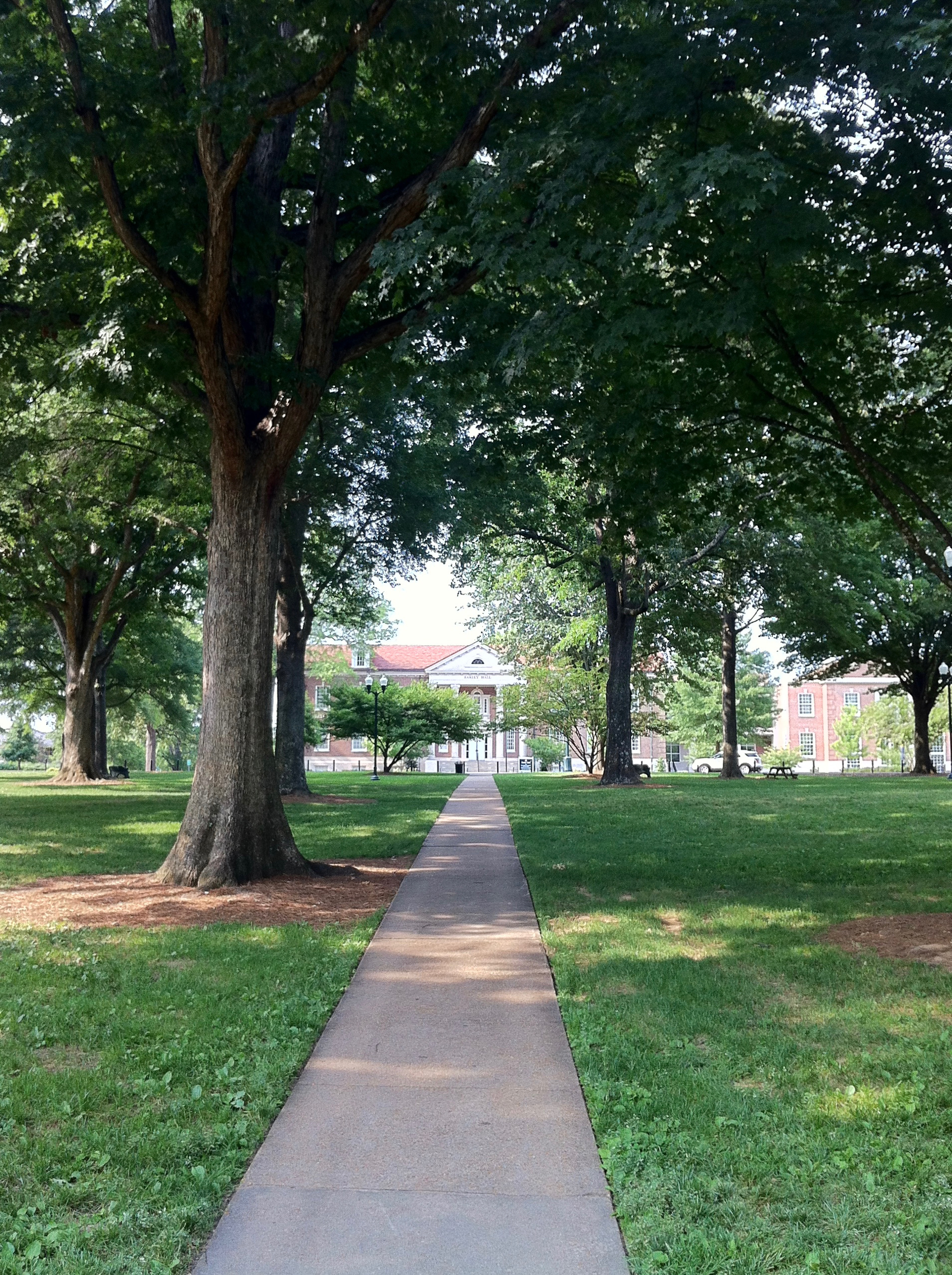 Home » OLE MISS SS4A SAFETY BLUEPRINT